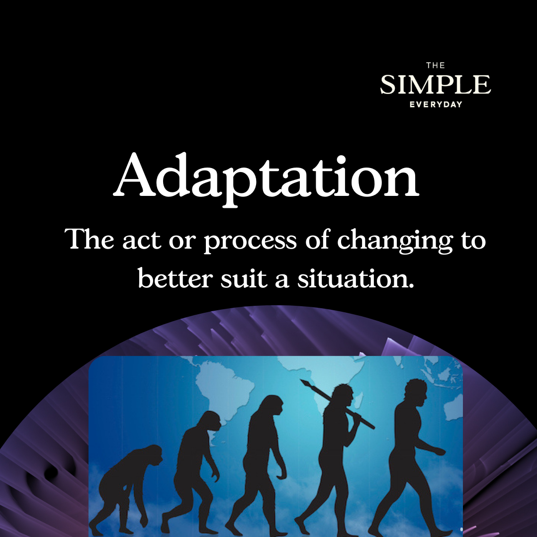 3-Secrets-For-Pilates-Strength-Sessions - The Simple Everyday